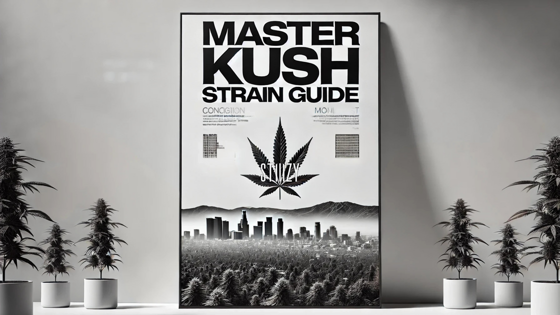 ‍Master Kush: A Legendary Indica Strain Loved by Rappers – STIIIZY