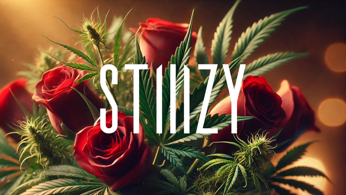 Blogs | Events, News, & Updates | Premium Indoor Cannabis | STIIIZY ...