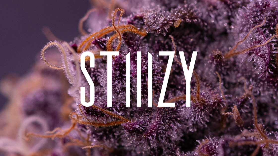 The Most Popular Weed Strains You Need To Try | STIIIZY