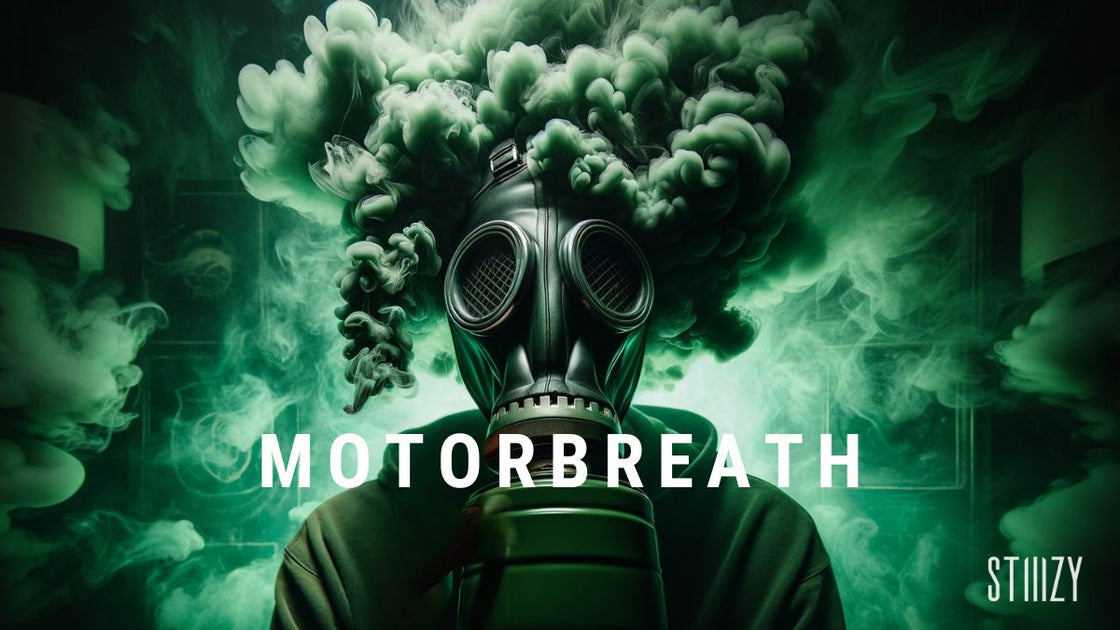 Motorbreath Strain: Cannabis Guide – STIIIZY
