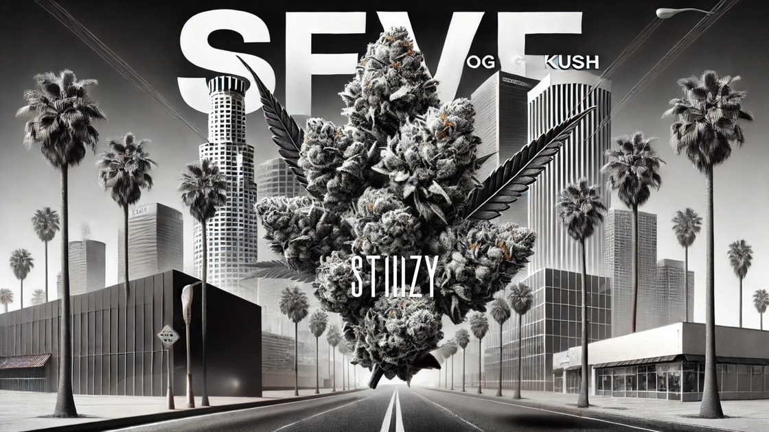 SFV OG Kush Strain Guide: A Legendary California-Bred Indica – STIIIZY