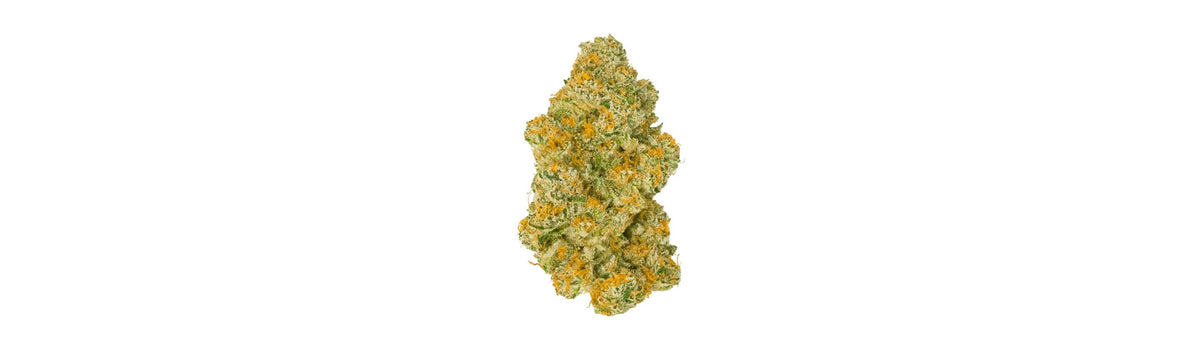 Birthday Cake Strain: A Celebration in a Bud | STIIIZY