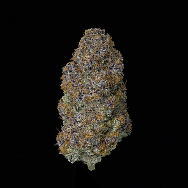 Blue Cookies Strain: Taste, Effects, and More | STIIIZY
