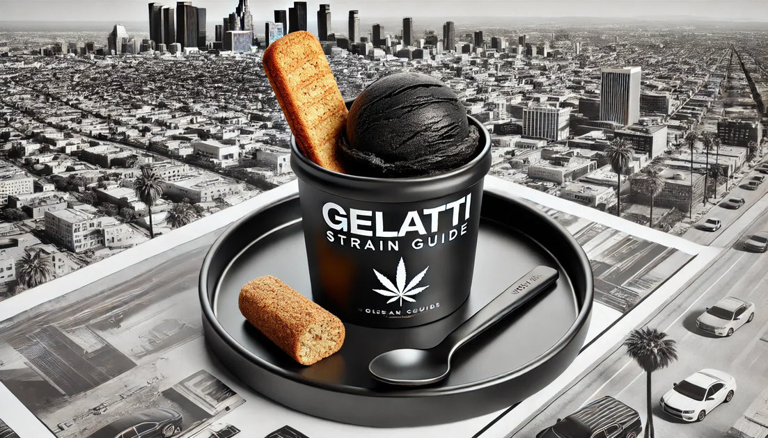 Gelatti Strain Guide: A Sweet & Smooth Flavor Adventure – STIIIZY