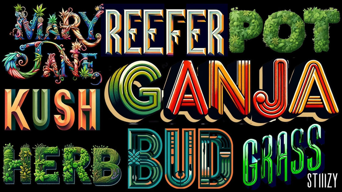 Stoner Slang Guide: Marijuana Terms Explained | STIIIZY